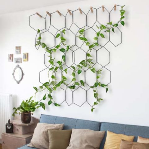 Treille murale design pour plante grimpante ANNO - Edyto
